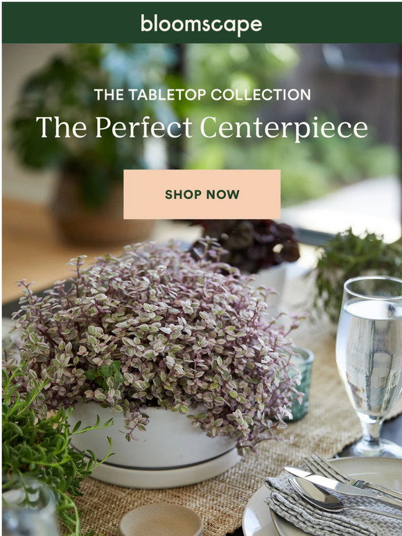 Bloomscape: Dress up your Dining Room | Milled