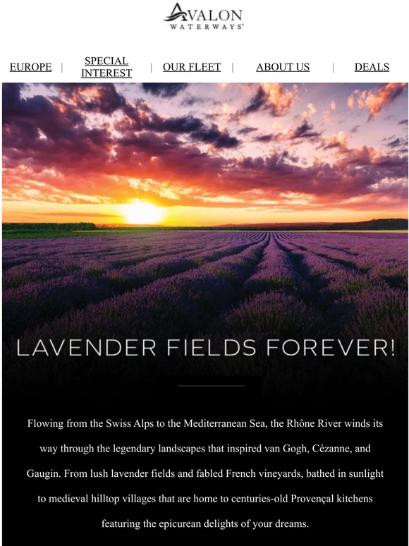 Avalon Waterways: Lavender Fields Forever... | Milled