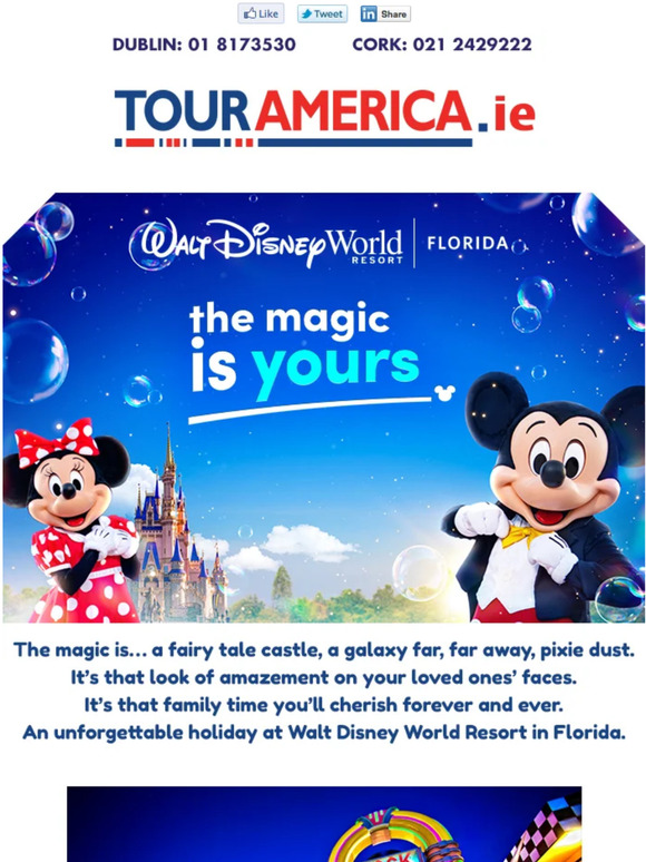 Tour America: Experience the Magic of Walt Disney World Florida | Milled