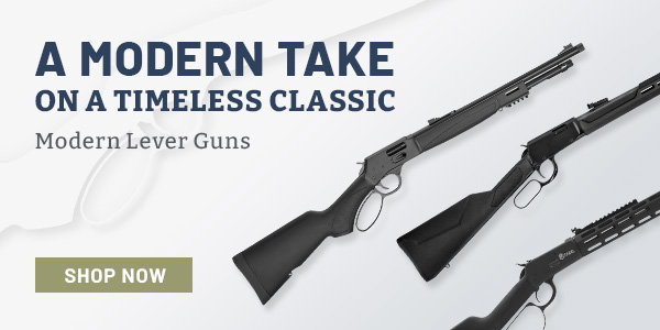 GunBroker: A modern take on a timeless classic. Shop Modern Lever Guns ...