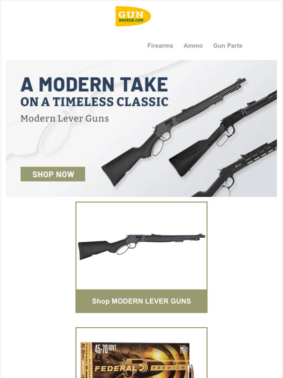 GunBroker: A modern take on a timeless classic. Shop Modern Lever Guns ...