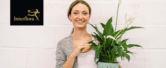 Interflora: Plantas coloridas y bonitas para regalar 🌱 | Milled