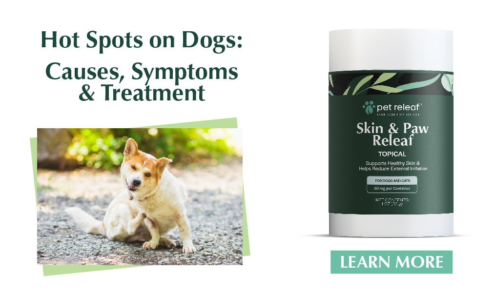 Pet Releaf: Hot Spots on Dogs | Milled
