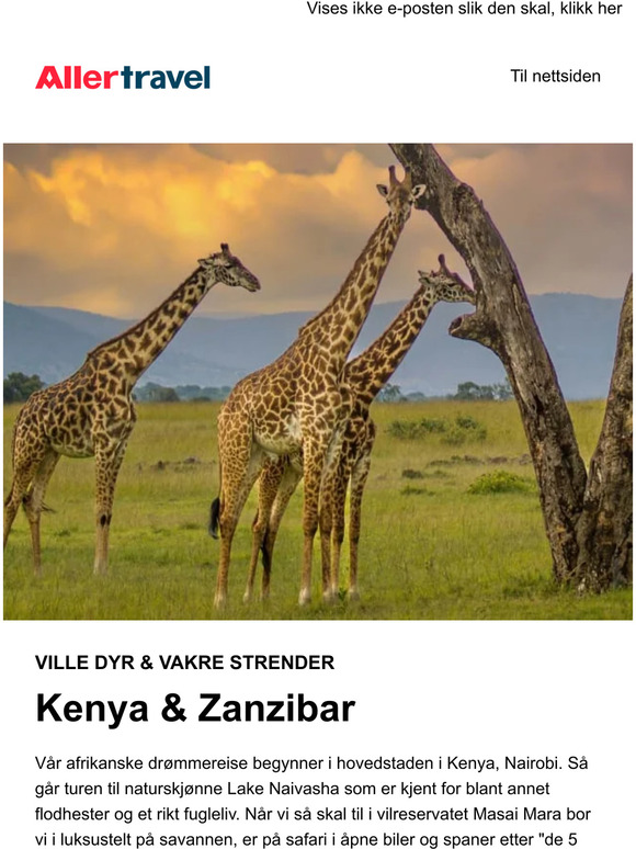 Aller Travel: Den store Afrika drømmen | Milled
