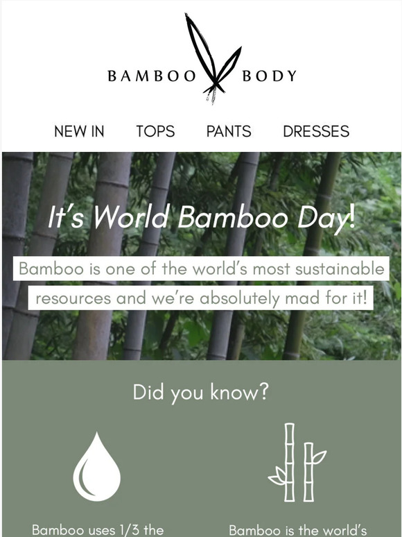 Bamboo Body: It's World Bamboo Day! | Milled