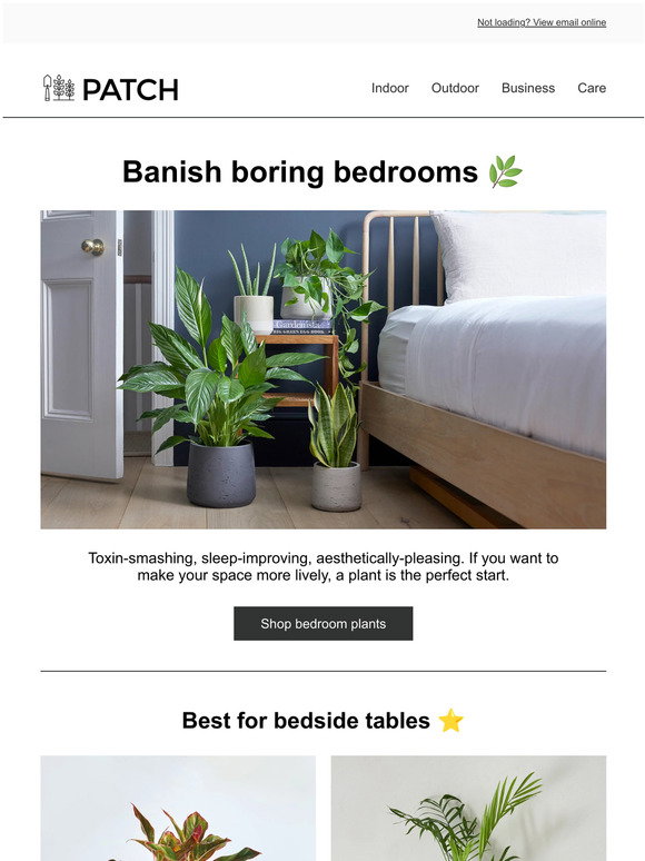 Patch Plants: Best plants for you bedroom 🌿 | Milled