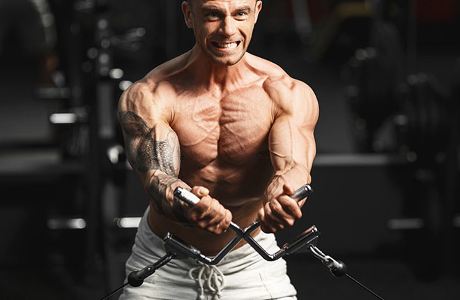 Muscle & Strength: 10% Body Fat: Complete Guide to Shredding | Milled