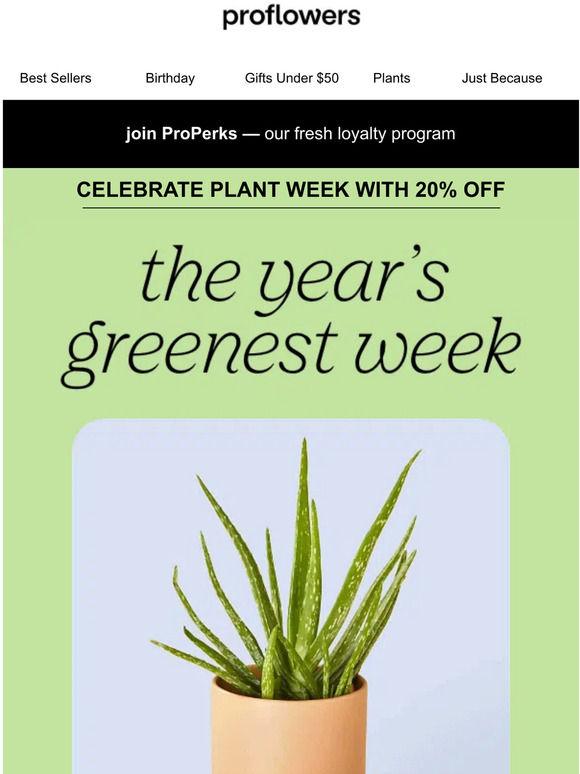 ProPlants: happy national indoor plant week! | Milled