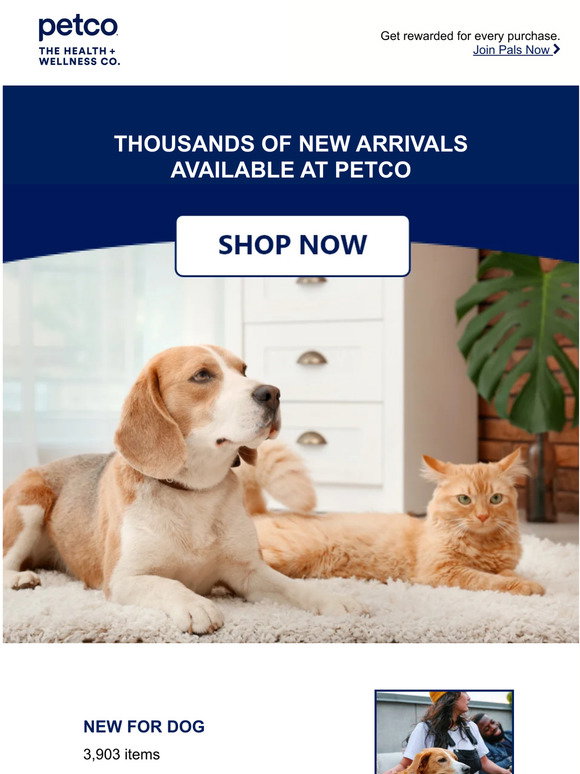 Petco: Your latest September finds are here—and they’re good! | Milled