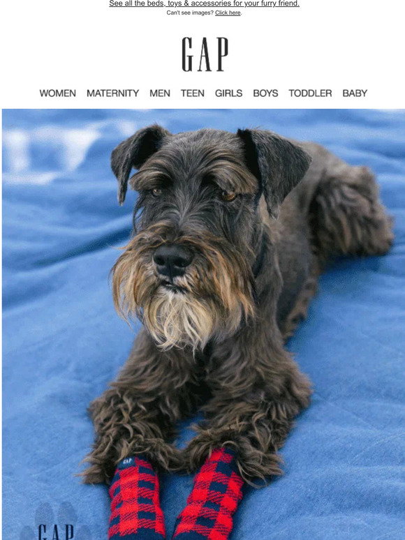 Gap: Introducing THE GAP HOME PET COLLECTION | Milled