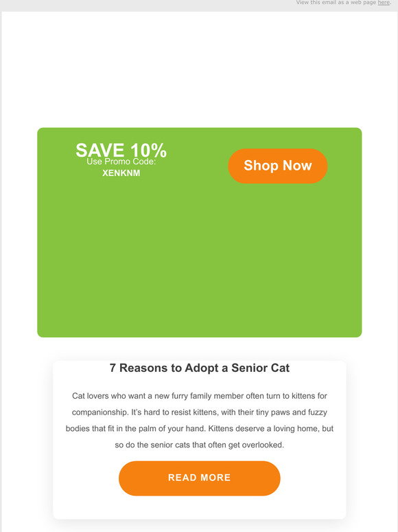 Pet Wellbeing: 7 Reasons to Adopt a Senior Cat | Milled