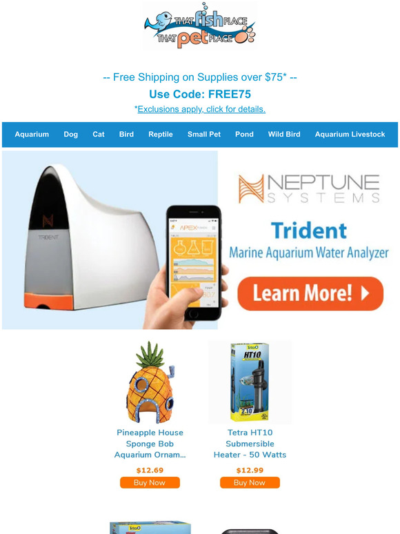 That Pet Place: Aquatic Supplies We Know You'll LOVE! | Milled