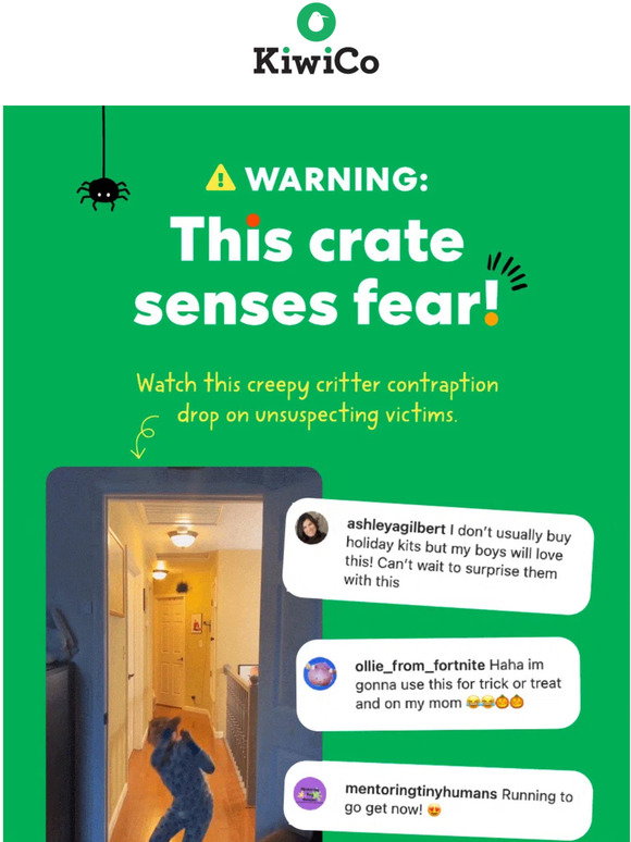 Kiwi Crate: Our Motion-Sensing Spider is seriously spooky fun! | Milled