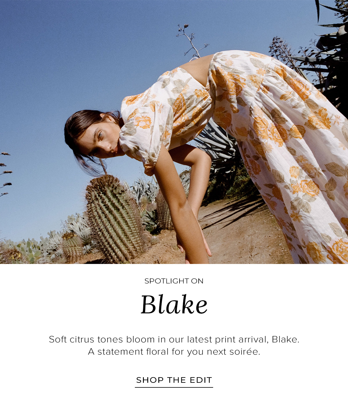 Kivari: In Focus | Blake | Milled