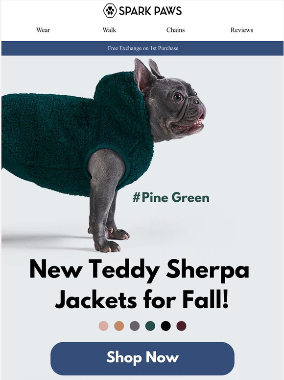 Spark Paws: NEW: Teddy Sherpa Dog Jackets! 🐶 | Milled