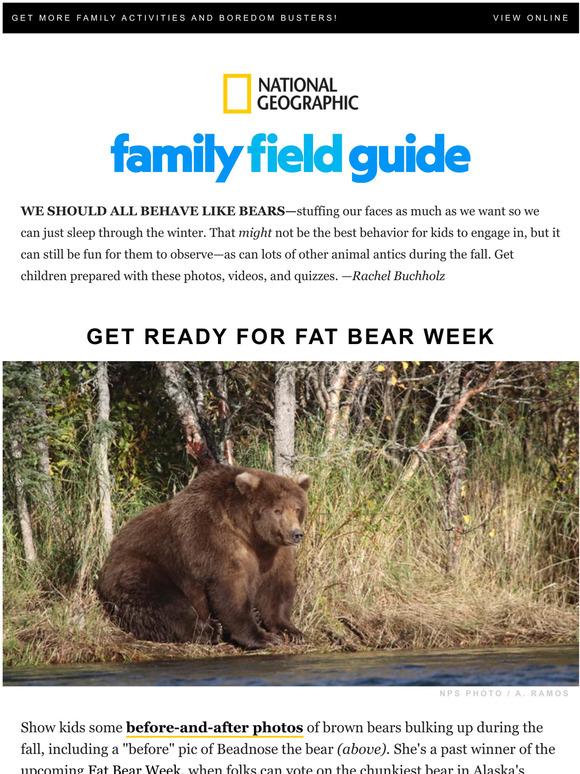 National Geographic: Bear behavior your kids will love 🐻 🧸 | Milled