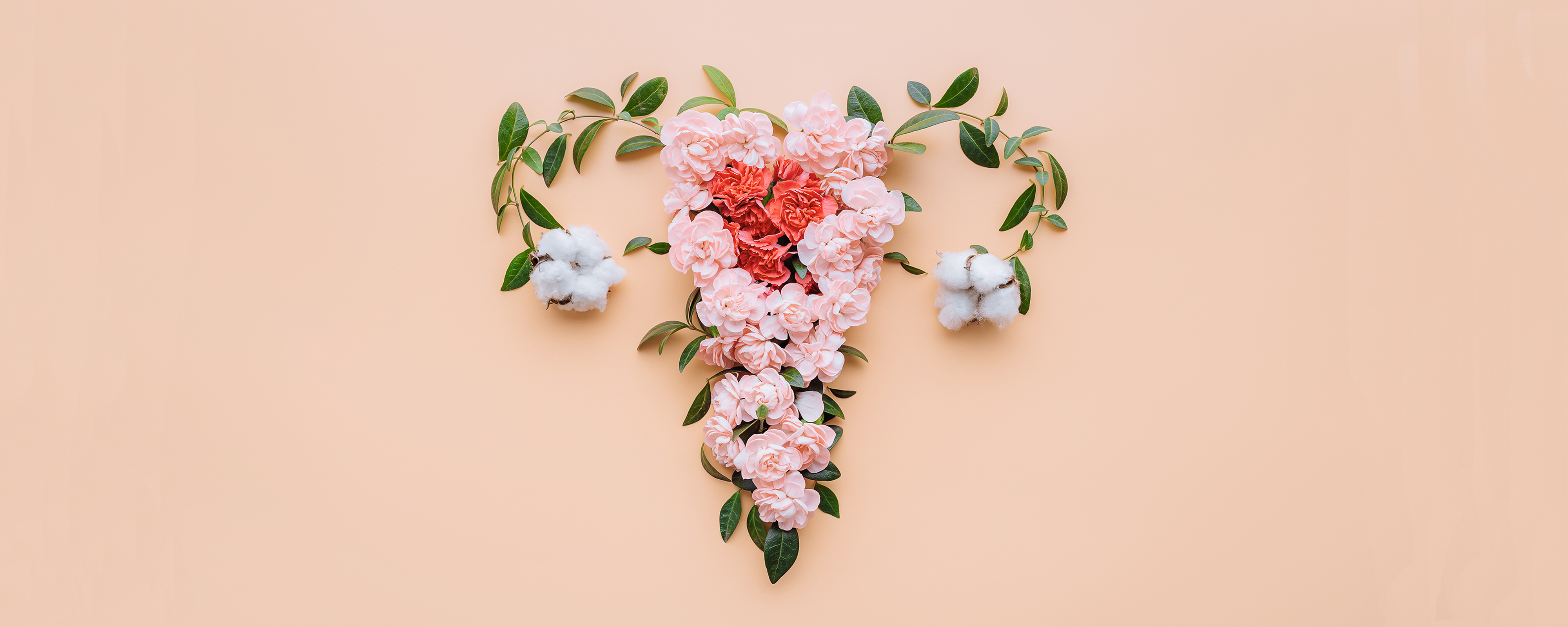 DeoDoc: 5 Types of Gynecological Cancer | Milled