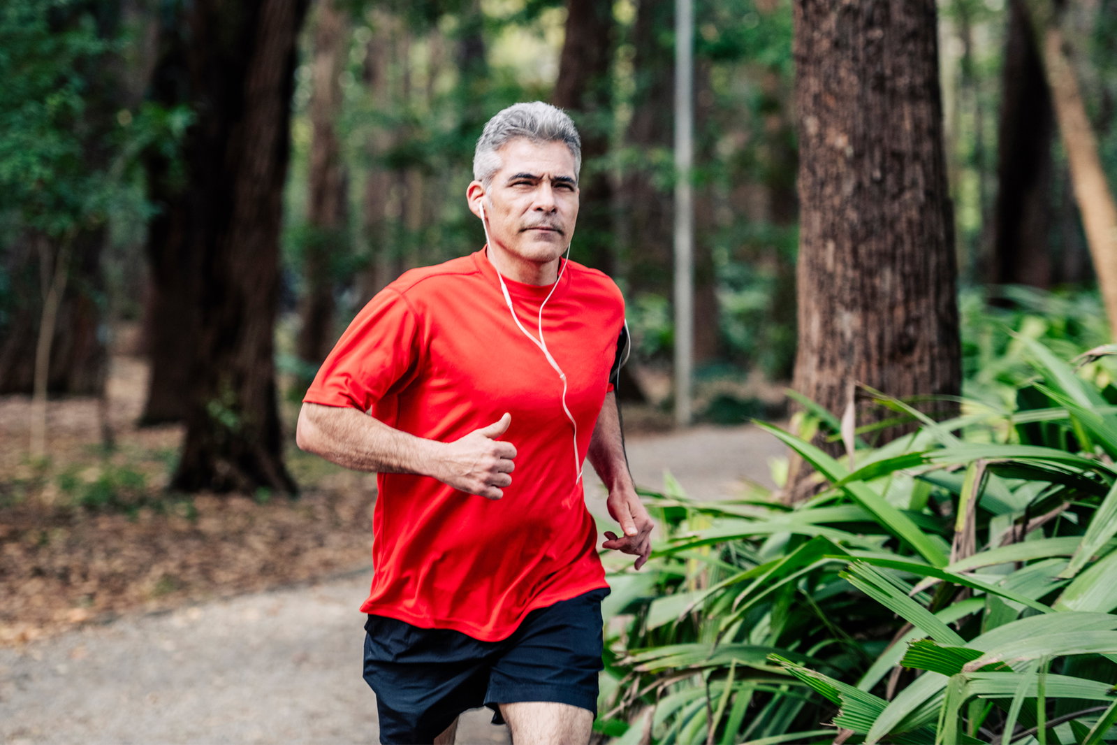 Livestrong: What Really Happens to Your Body When You Run Every Day, 10 ...