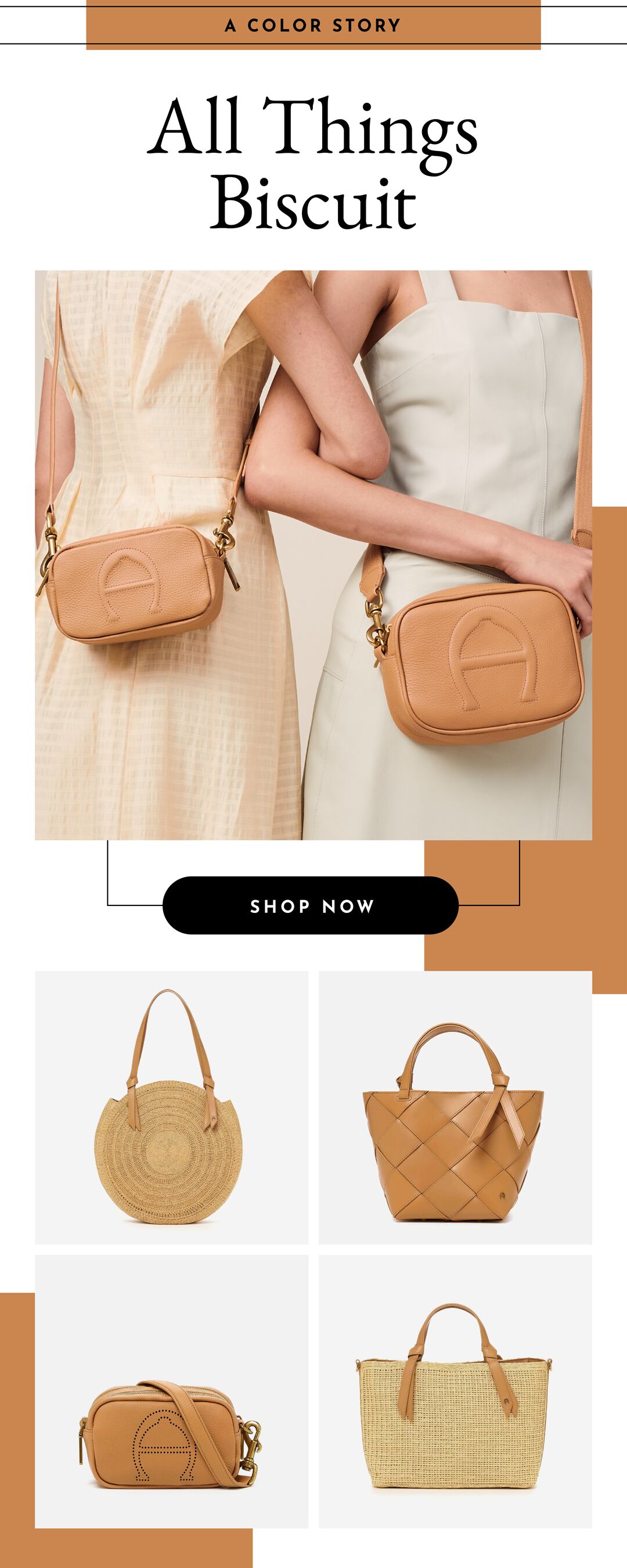 Etienne Aigner: The Ultimate Fall Color 🍂 | Milled