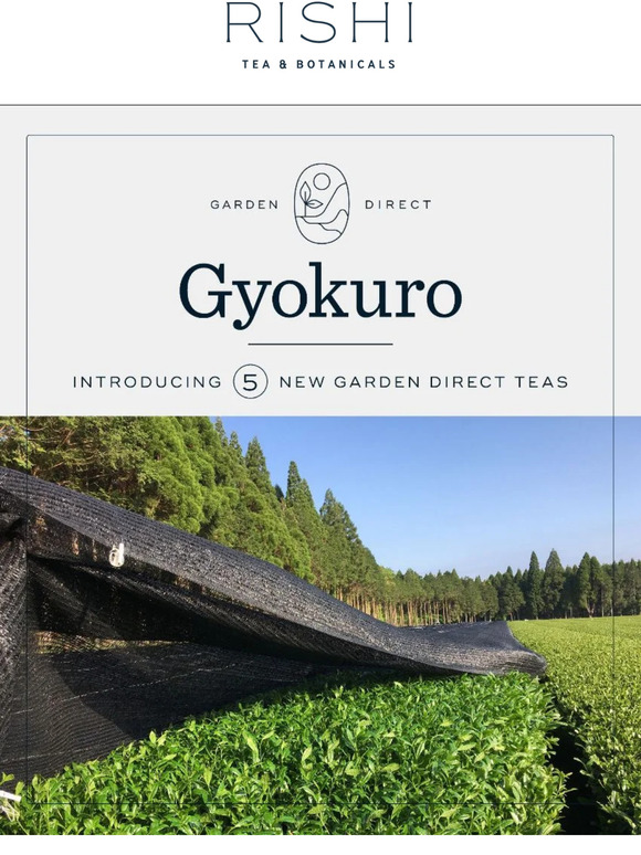 Rishi Tea: Unique Gyokuros and Whisky Barrel Aged Teas have arrived ...