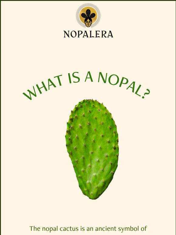 Nopalera: WHAT IS A NOPAL? 🌵 | Milled