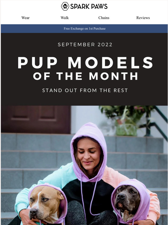 Spark Paws: Check out the doggy models of the month! 😍 | Milled
