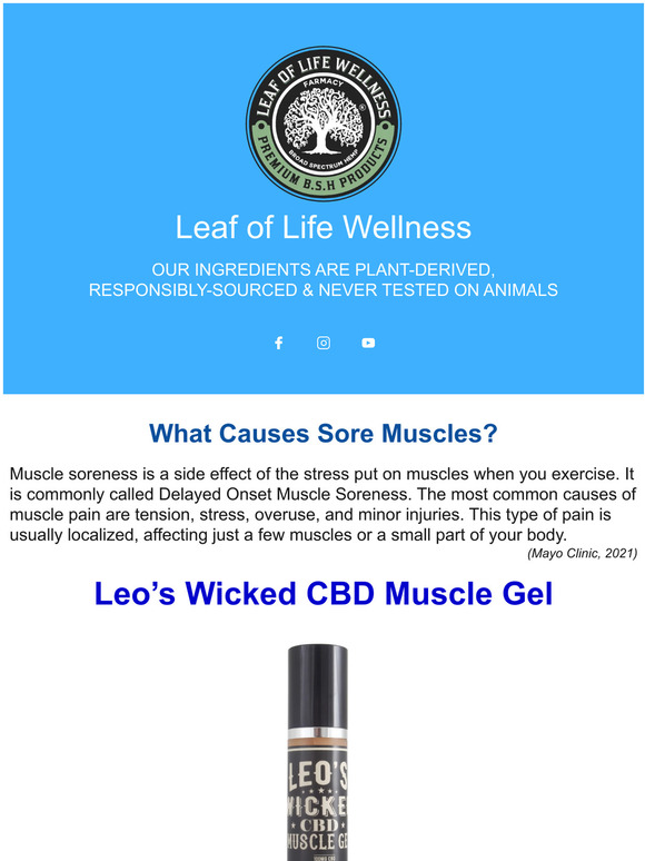 Leaf of Life Wellness: Sore Muscles? Fight Back! | Milled