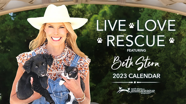 North Shore Animal League: Help save lives with our 2023 Calendar ...