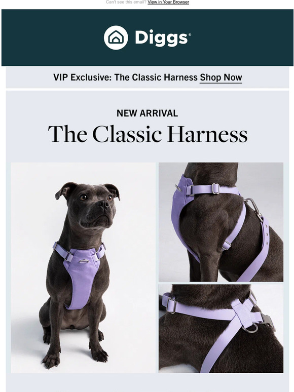Diggs: NEW DIGGS: The Classic Harness | Milled