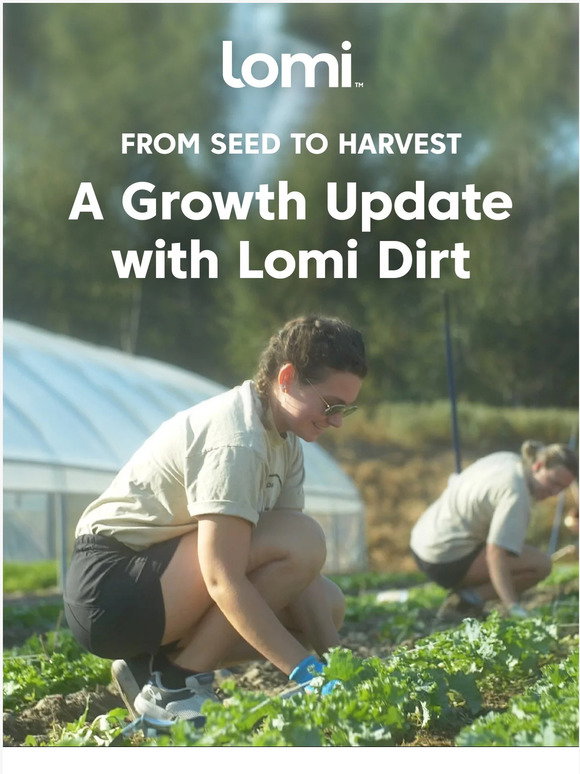 Lomi: A Look at the Vegetables Growing with Lomi Dirt | Milled