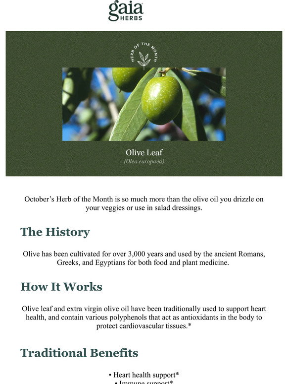 Gaia Herbs: Meet the October Herb of the Month: Olive! | Milled