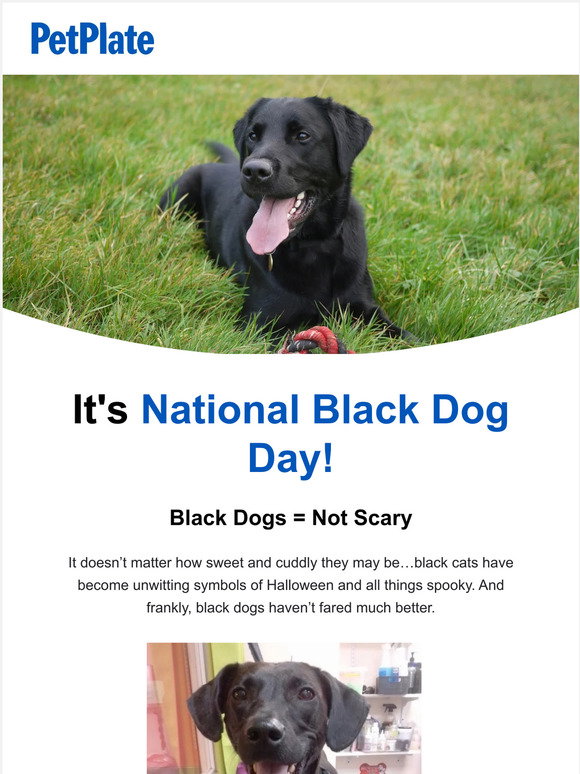 PetPlate: It’s National Black Dog Day! | Milled