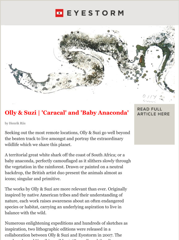 Eyestorm: Olly & Suzi | 'Caracal' and 'Baby Anaconda' | The Wild as an ...