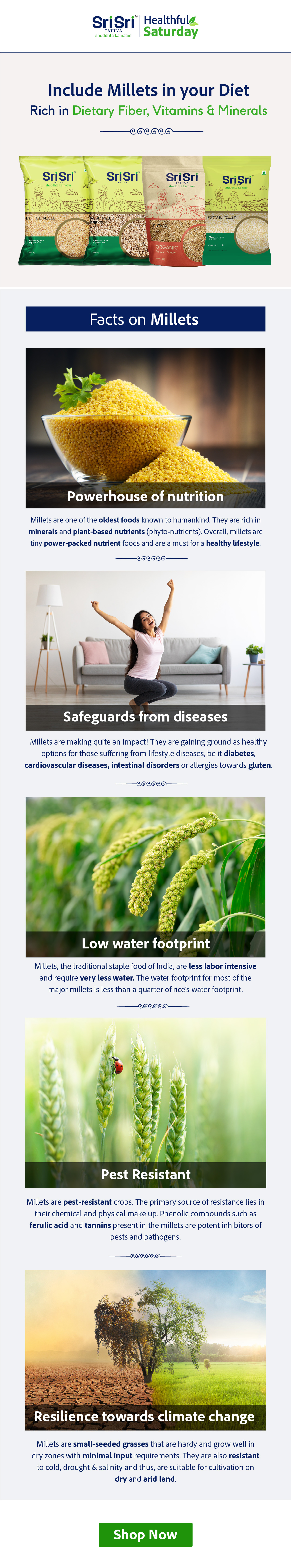 Sri Sri Tattva: 5 Facts you should know about Millets! 💯 | Milled