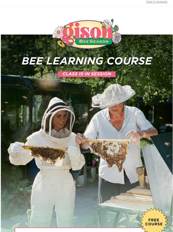 Gisou: 3 Bee Facts You Didn’t Know 🐝 | Milled