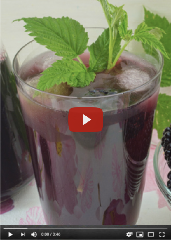 PaleoPlan: “purple mojito” 🍸removes 2 lbs every 3 days? | Milled