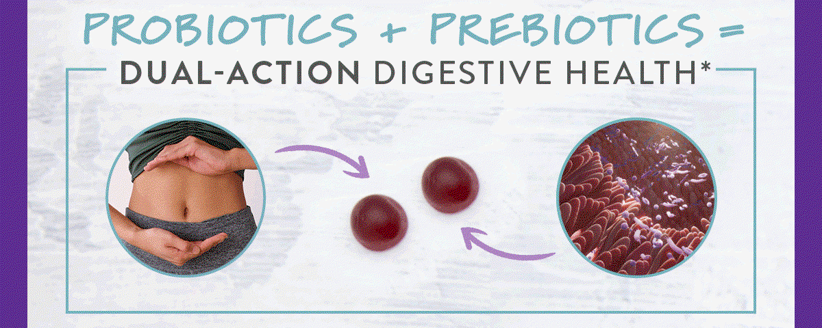 New Chapter: 📣 Just Arrived! NEW Probiotic Gummies | Milled