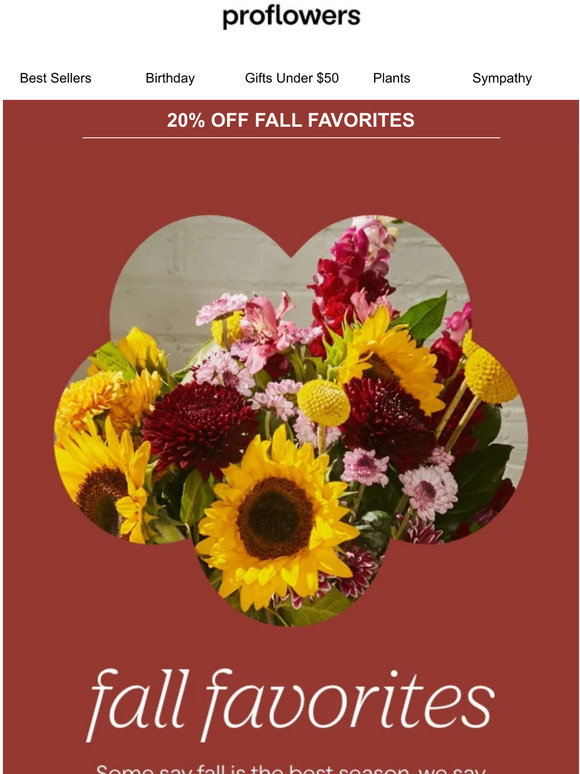 ProFlowers: fresh-for-fall favorites designed to delight | Milled