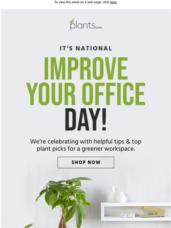 Plants.com: It's National Improve Your Office Day! | Milled