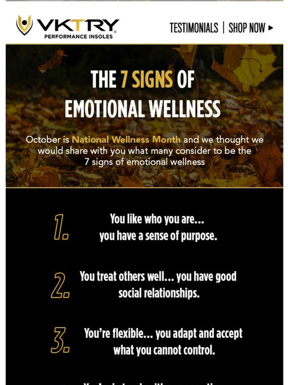VKTRY Gear: The 7 Signs of Emotional Wellness | Milled