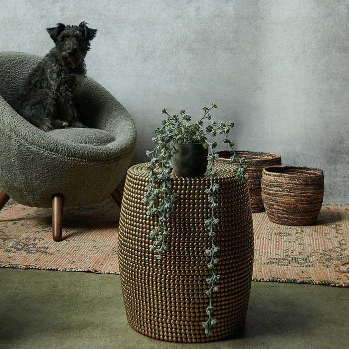 Abigail Ahern: Dial Up The Joy Meter | Milled