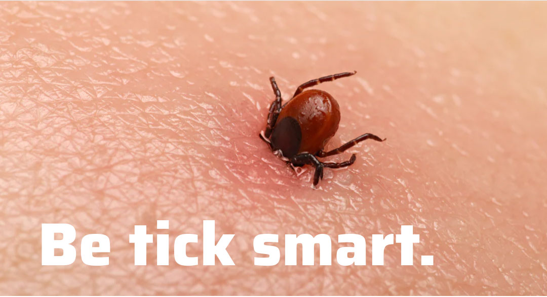Wondercide: How tick-smart are you? | Milled