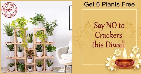 Nurserylive: 🌻 Pledge Pollution Free Diwali, Get Plants worth ₹ 1500 ...
