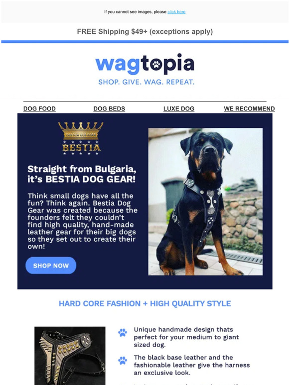 Wagtopia: Big Dog Alert: BESTIA Dog Gear is here | Milled