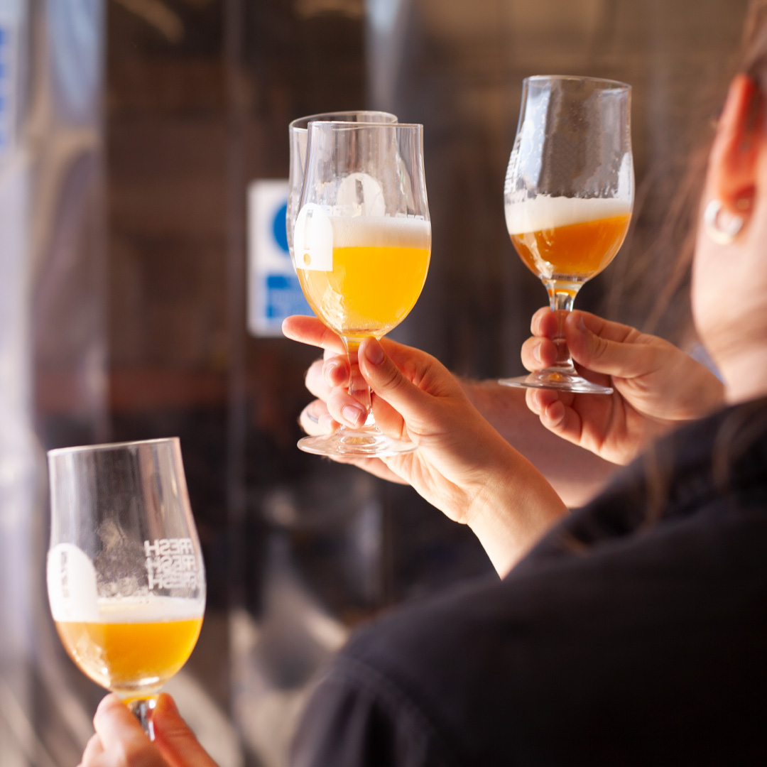 Pinter: Get to know Pinter: How we pick our beers | Milled