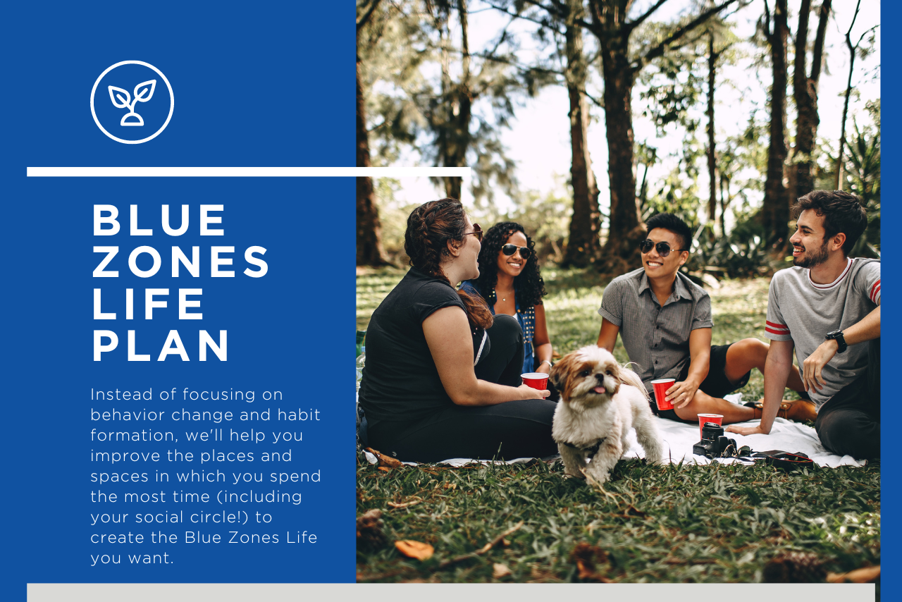 Blue Zones: Uncovering how BIG FOOD manipulates what we eat and drink ...