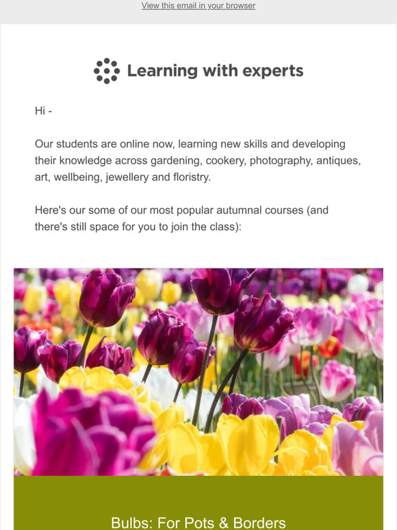 Learning with Experts: Autumn courses available now 🍁 | Milled