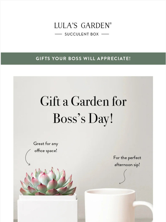 Lula's Garden: Plants that give back! 🌿 | Milled