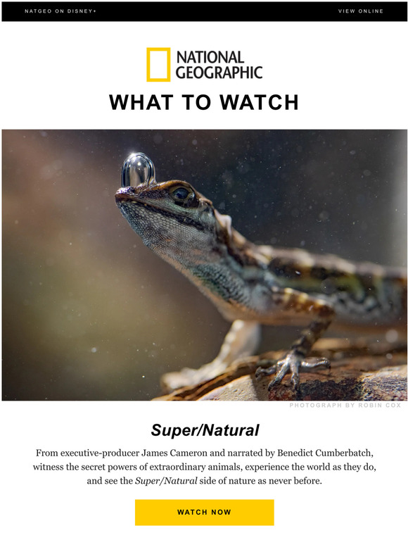 National Geographic: What to Watch: Witness the secret powers of ...