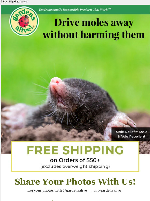 Gardens Alive: Moles—cute in children's books, not in your yard | Milled
